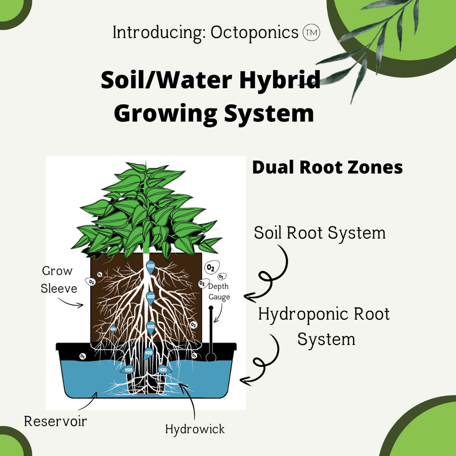 Unleashing Plant Potential with Octopot: The Hybrid Grow System Revolu