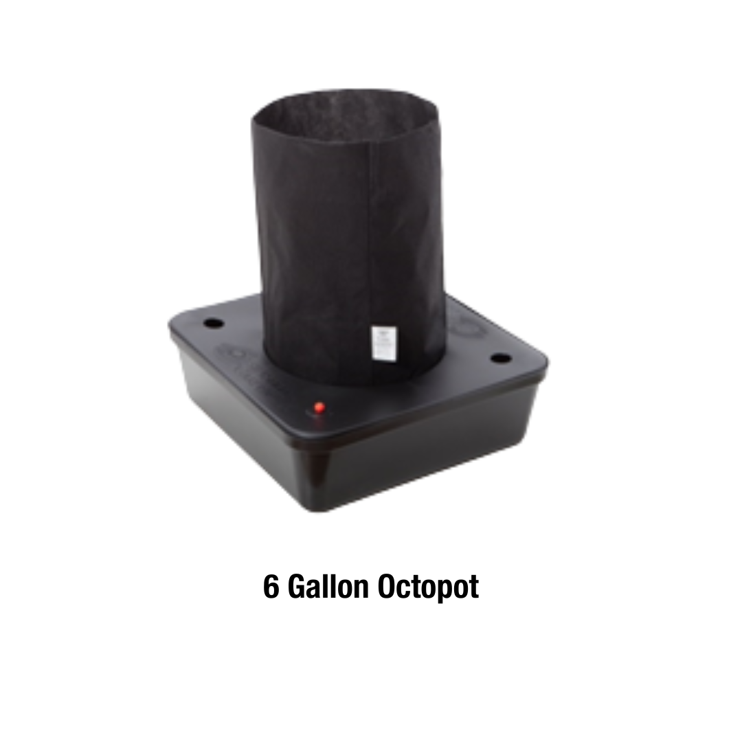 Octopot Hybrid Grow System: 6 Gallon Octopot