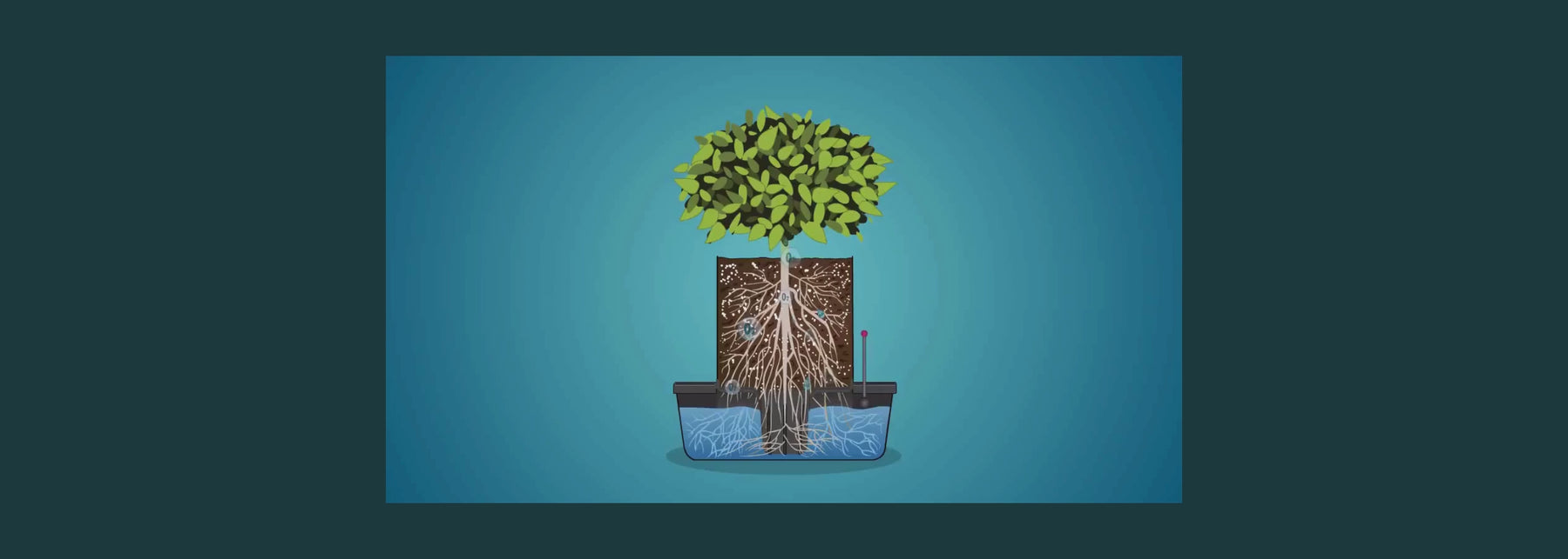 Octopot Hybrid Grow Systems