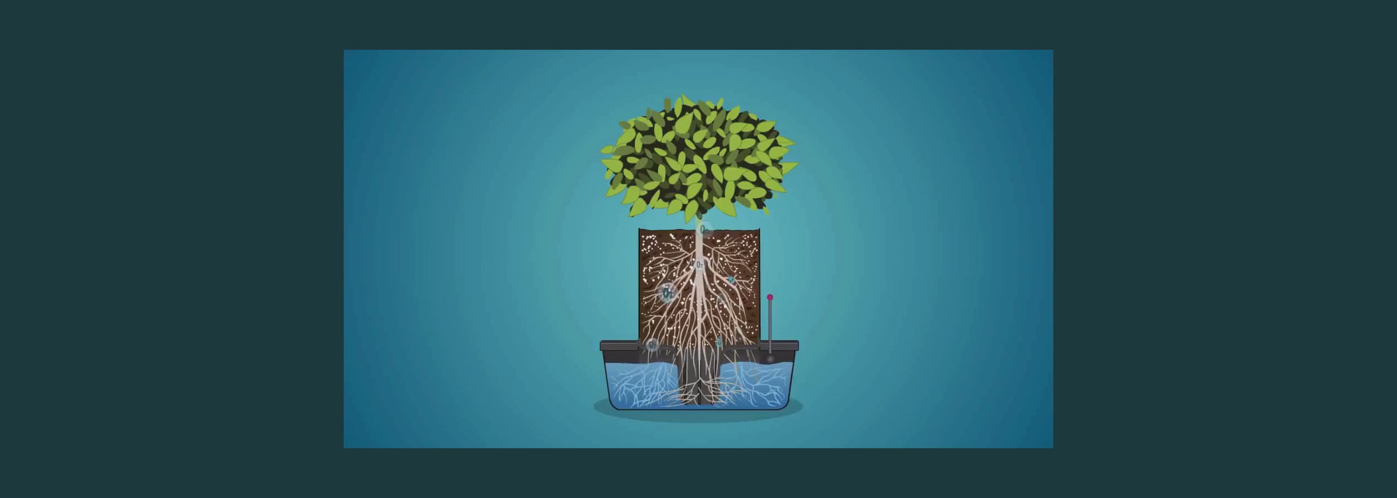 Octopot Hybrid Grow Systems