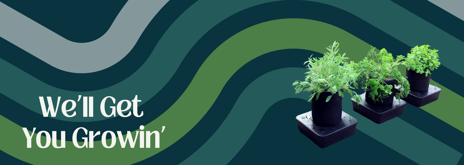Octopot Hybrid Grow Systems: Hybrid Hydroponic Grow System